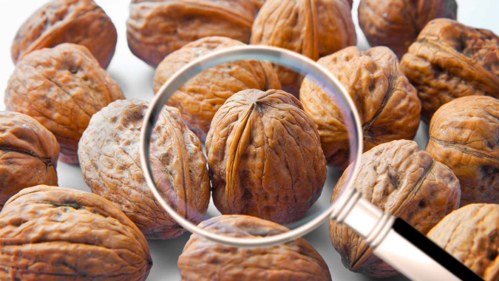 Main Benefits Of ISO 9001 CERTIFICATION ? - Global ISO Certification ...